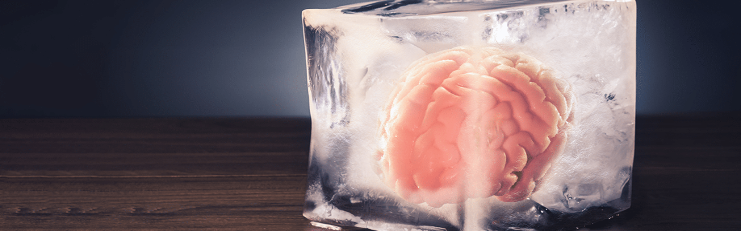 Understanding the Consequences of Drug Use on the Brain - Recovery ...