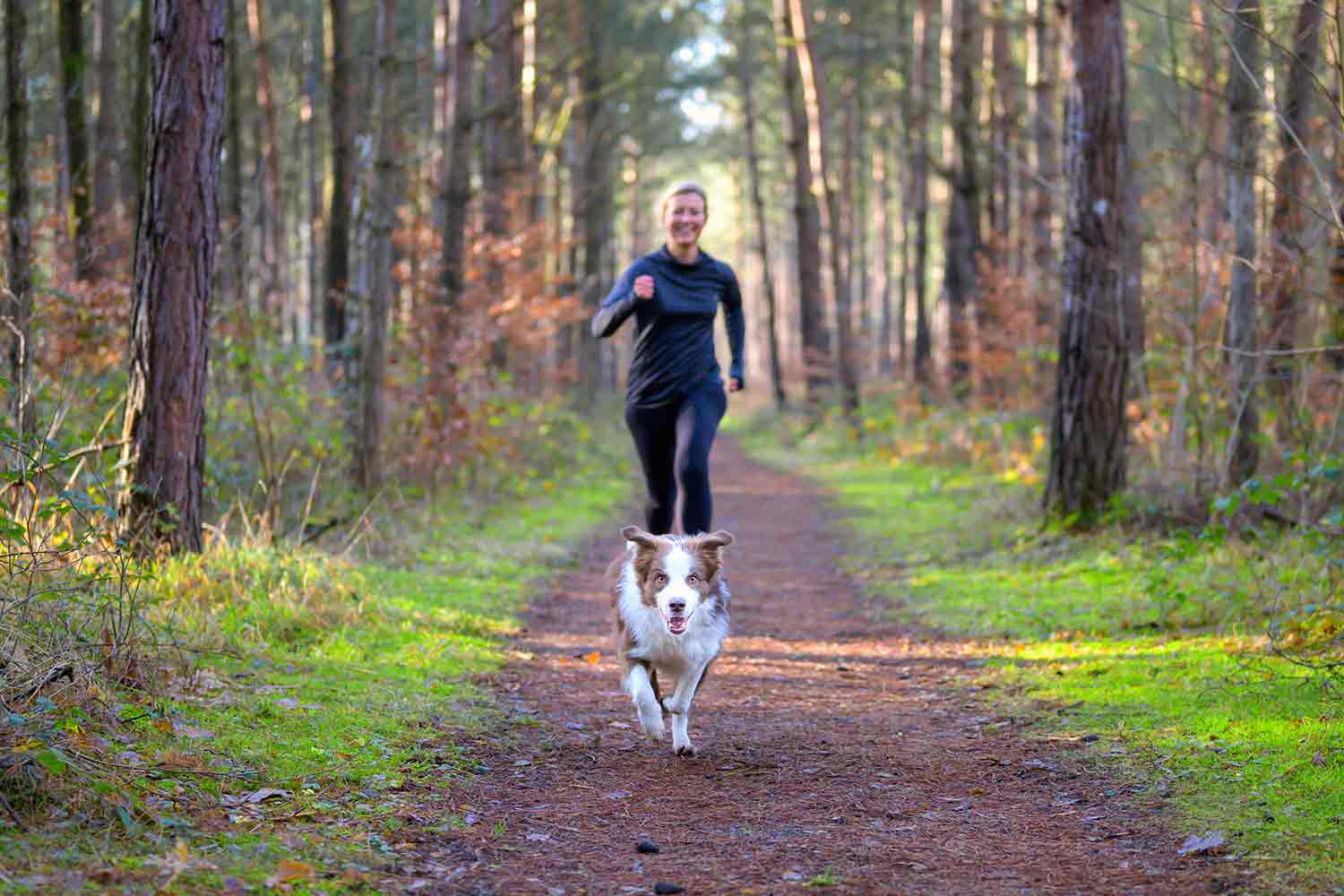 4 Ways Pets Can Boost Your Recovery | Animal Therapy